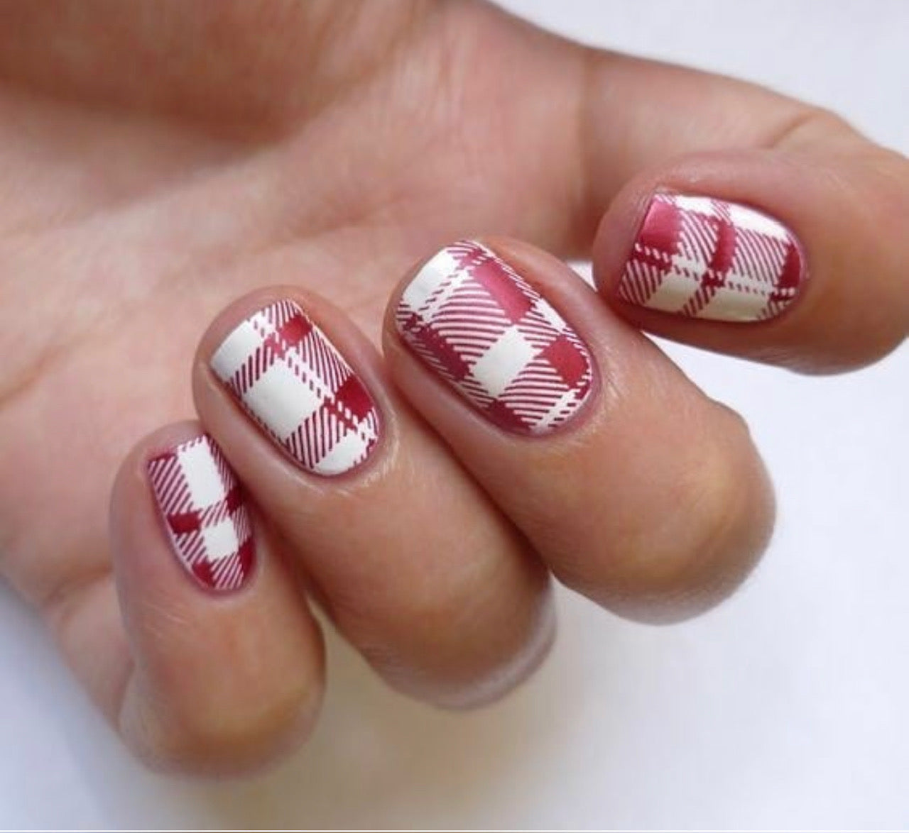Got Plaid? CjS-56 Steel Nail Art Stamping Plate – Clear Jelly Stamper