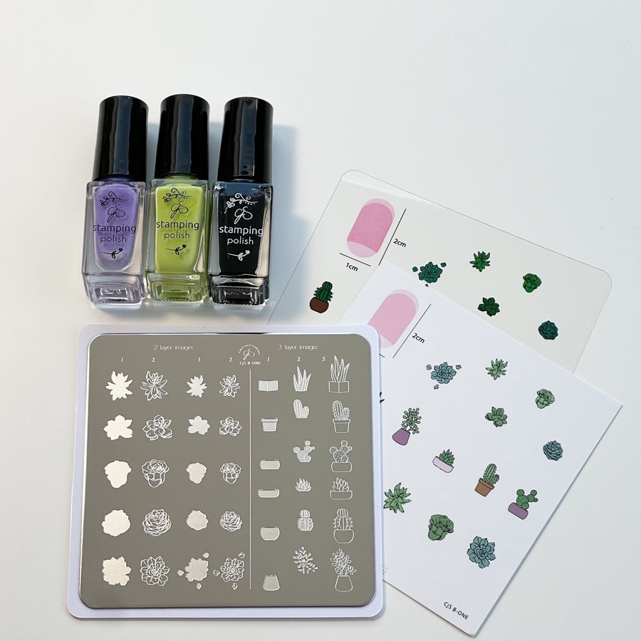 Starter Kits – Clear Jelly Stamper