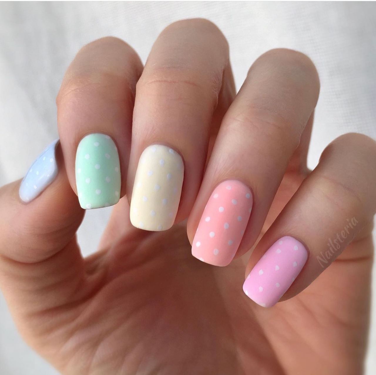 Spring Has Sprung (CjSH-17) Steel Nail Art Layered Stamping Plate ...